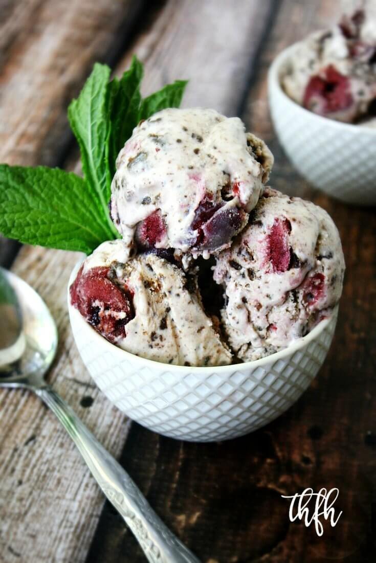 Vegan Black Forest Ice Cream